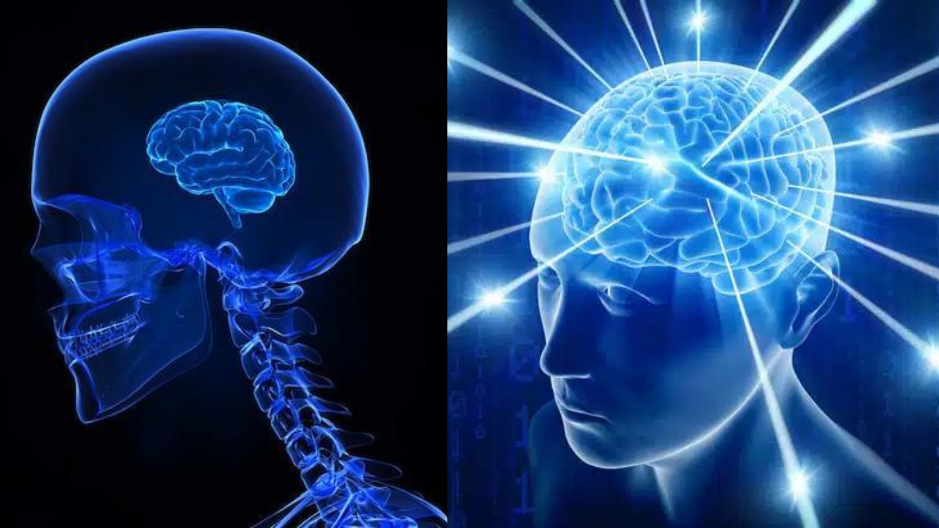 Võimalik, et oled õppimise asemel hoopis tuupinud… | Jutud ajust ja ...